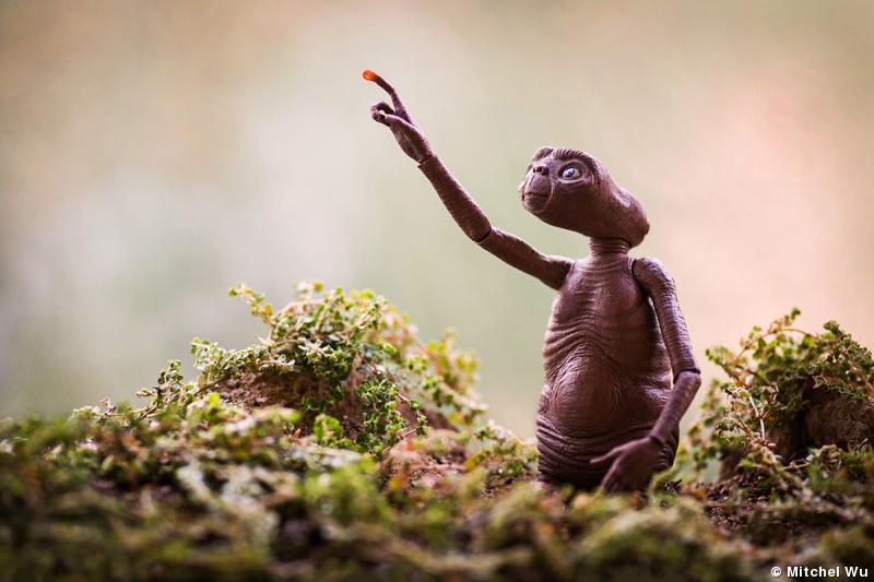 Photo gallery: Mitchel Wu keeps it playful | Professional Photographer ...