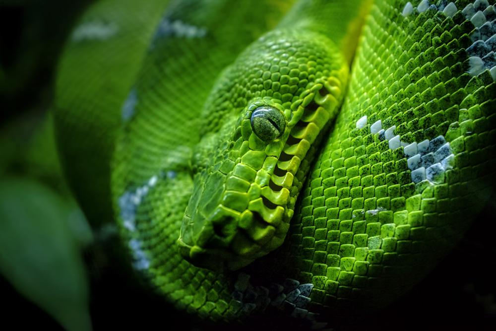 Merited Images | Professional Photographer Magazine